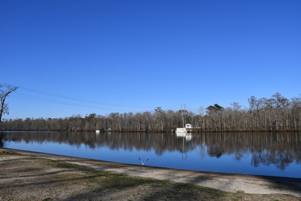 Northeast Cape Fear at Castle Hayne Park - Swim Guide
