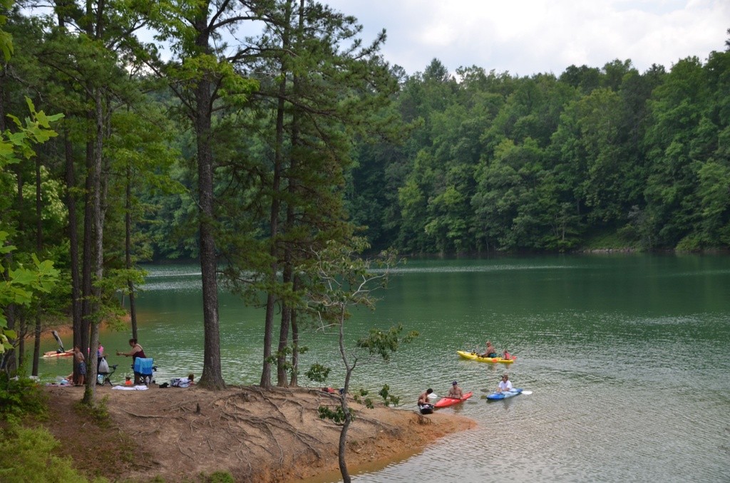 Fontana Fingerlake Day Use Area - Swim Guide
