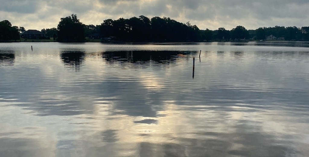 Tar River Reservoir - Swim Guide
