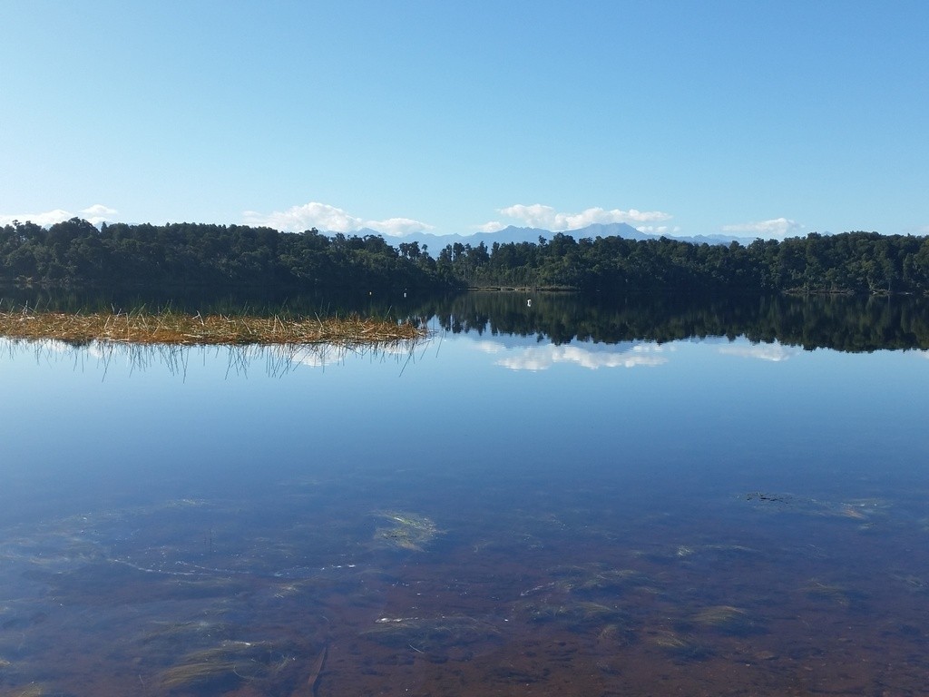 Lake Mahinapua at Shanghai Bay | Swim Guide