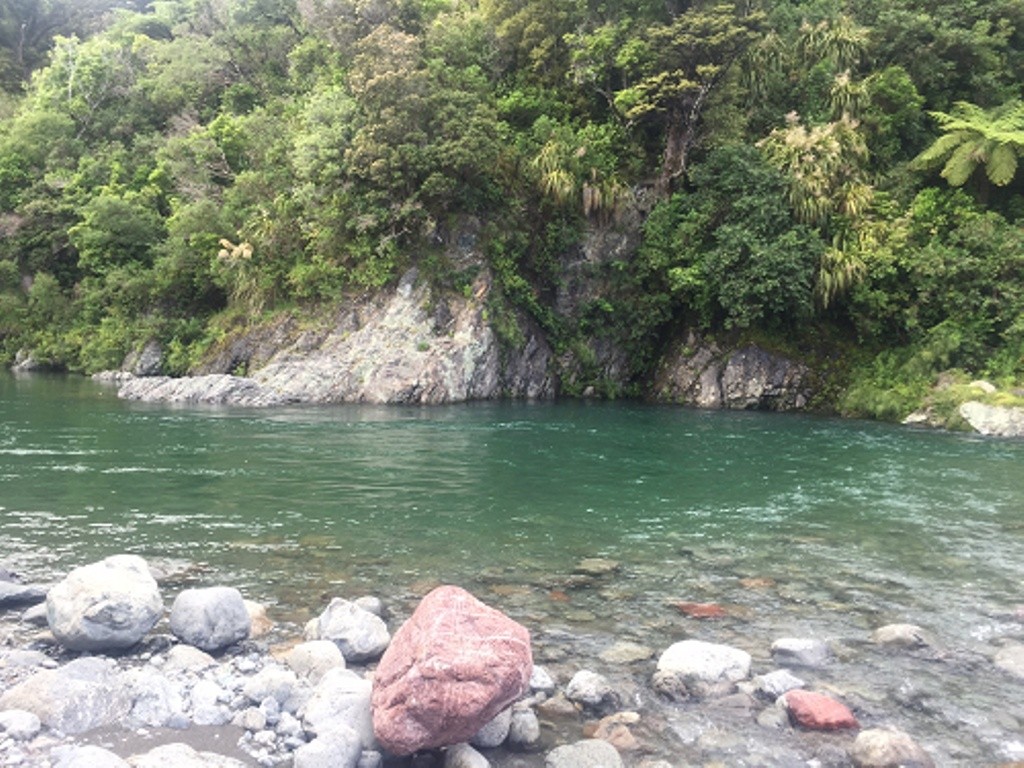 Tauherenikau River at Bucks Road | Swim Guide
