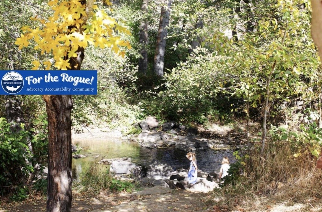 Bear Creek at North Mountain Park, Ashland - Swim Guide
