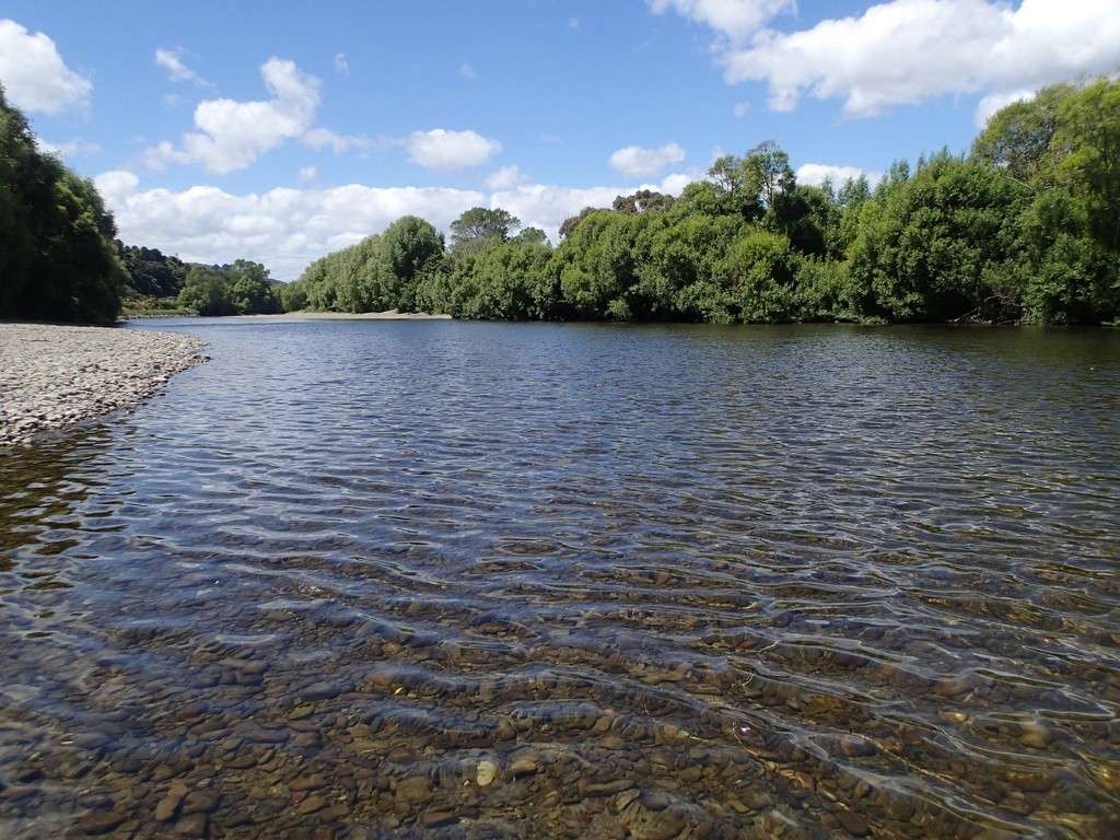 Hutt River at Melling Bridge, Block Rd - Swim Guide