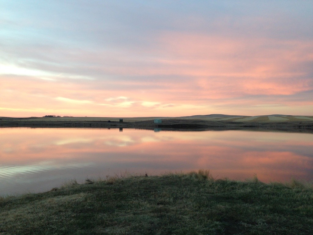 Severn Lake Campground Area - Swim Guide