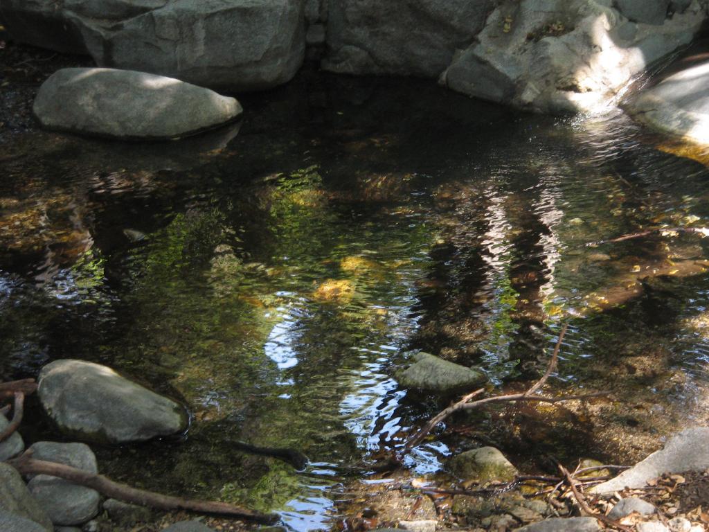 Switzer Falls - Swim Guide
