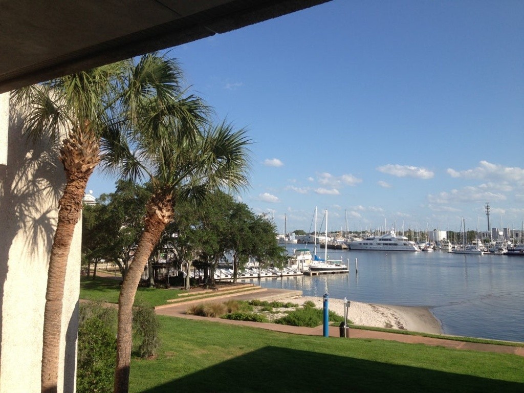 USF St. Pete beachfront in Bayboro Harbor - Swim Guide