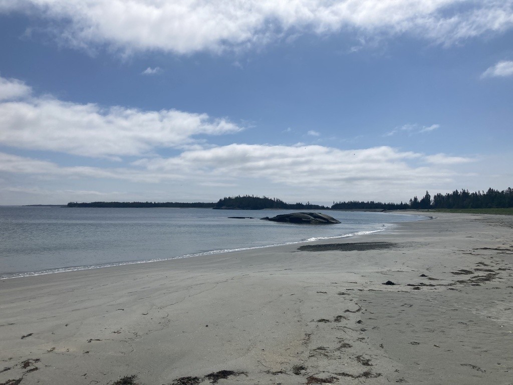 Taylor Head Beach - Swim Guide