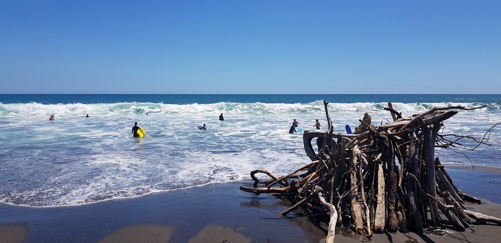Fitzroy Beach - Swim Guide