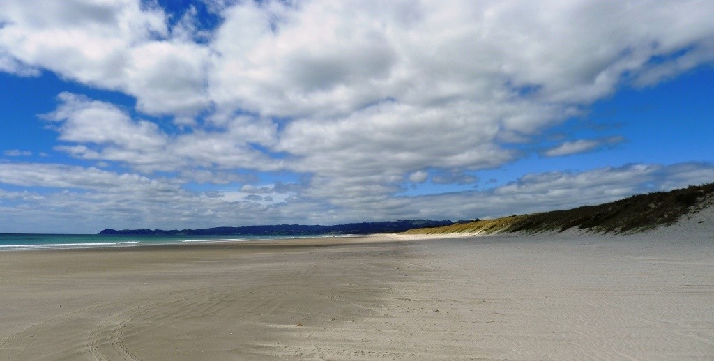 Uretiti Beach at Tip Road | Swim Guide