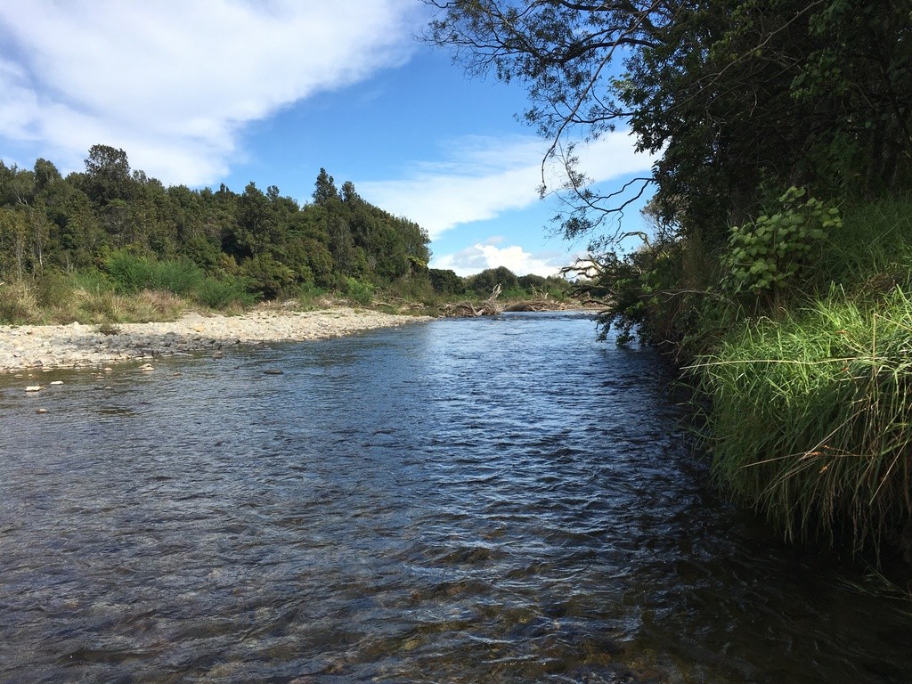 Ohau River at Kimberley Reserve | Swim Guide