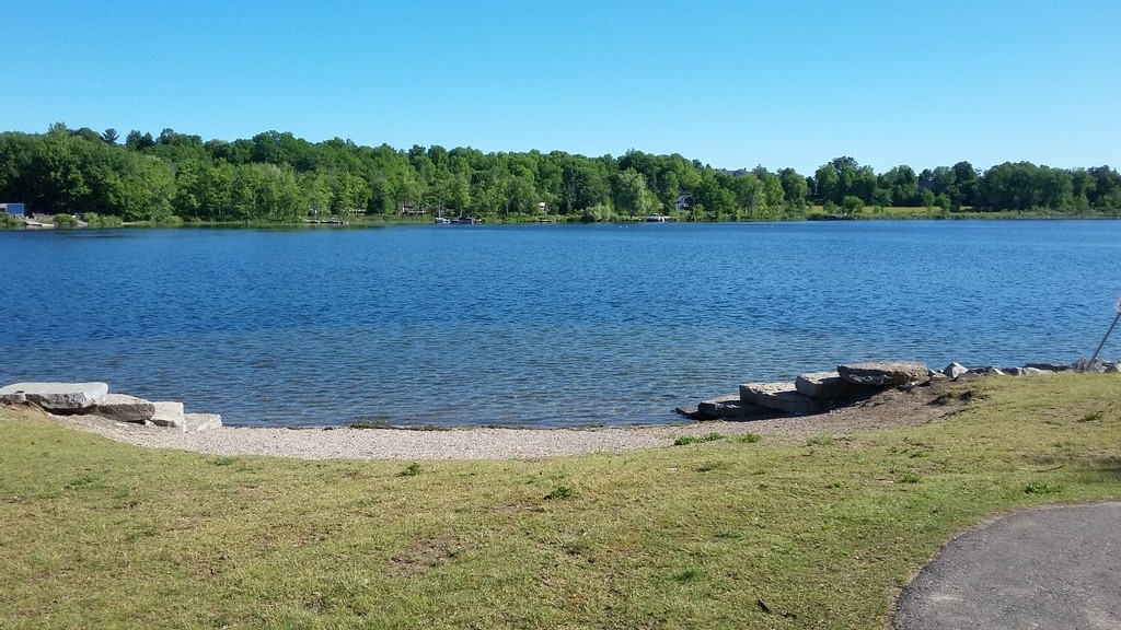 Sydenham Lake | Swim Guide