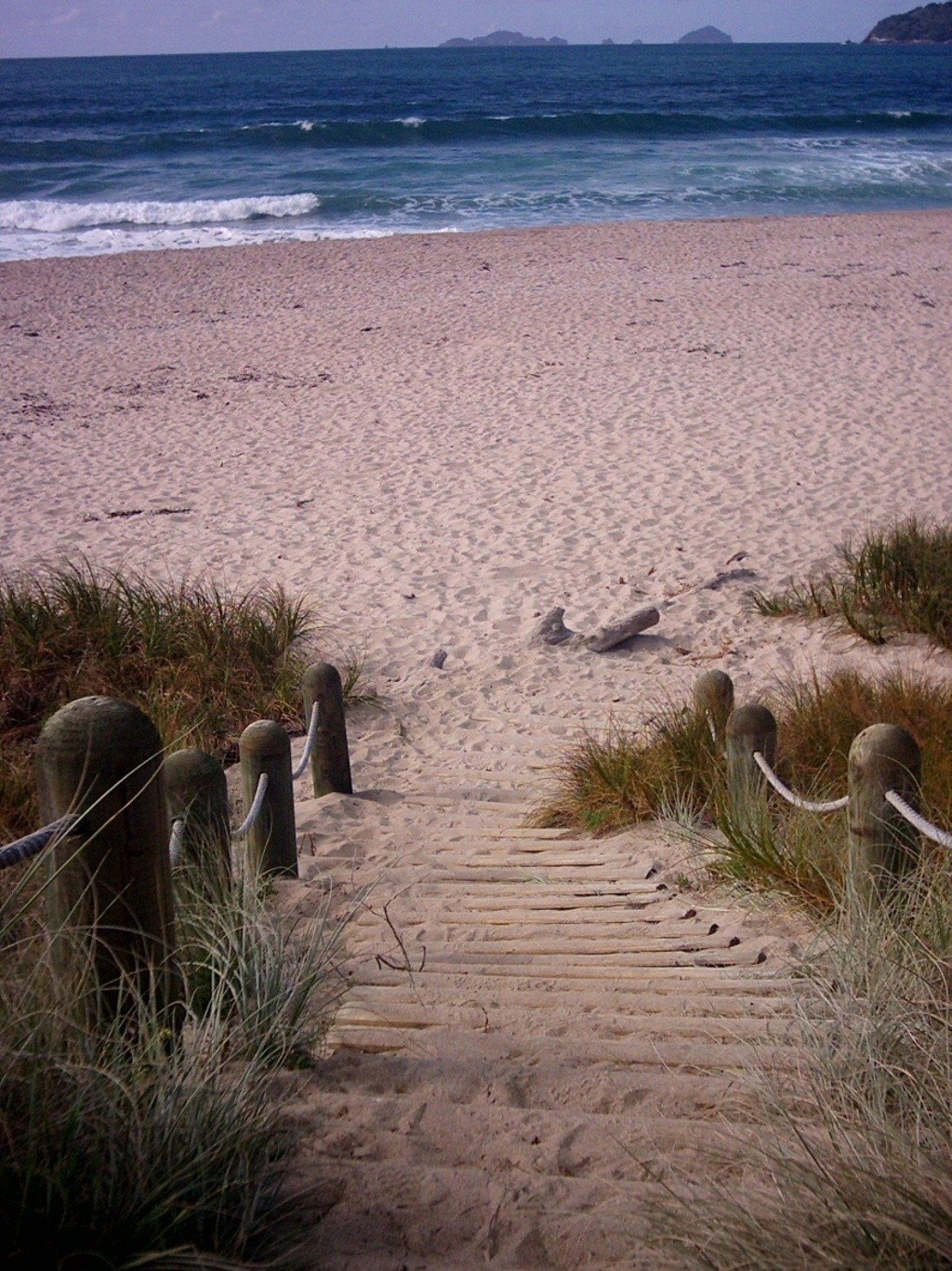 Tairua Beach | Swim Guide