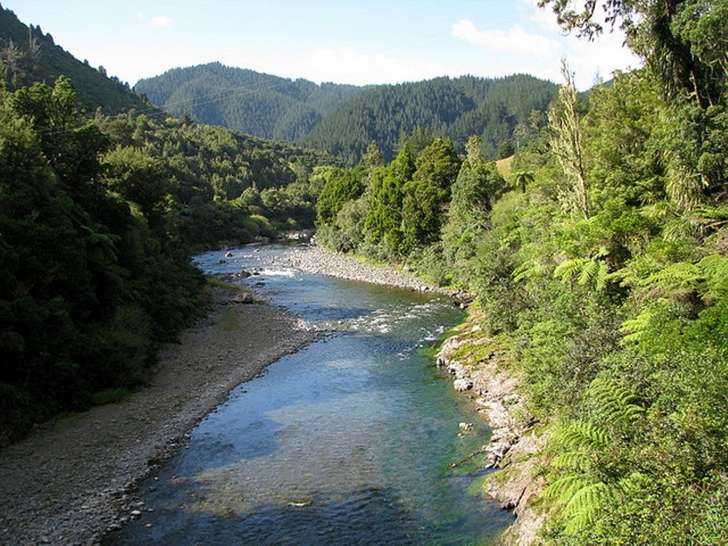 Waioeka River at Mouth of Gorge | Swim Guide