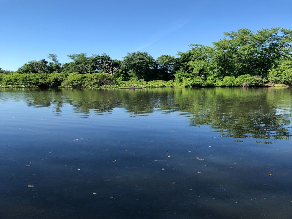 (MR1) Millstone River - Swim Guide