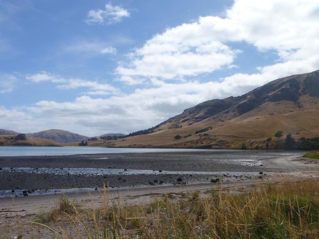 Purau Bay - Swim Guide