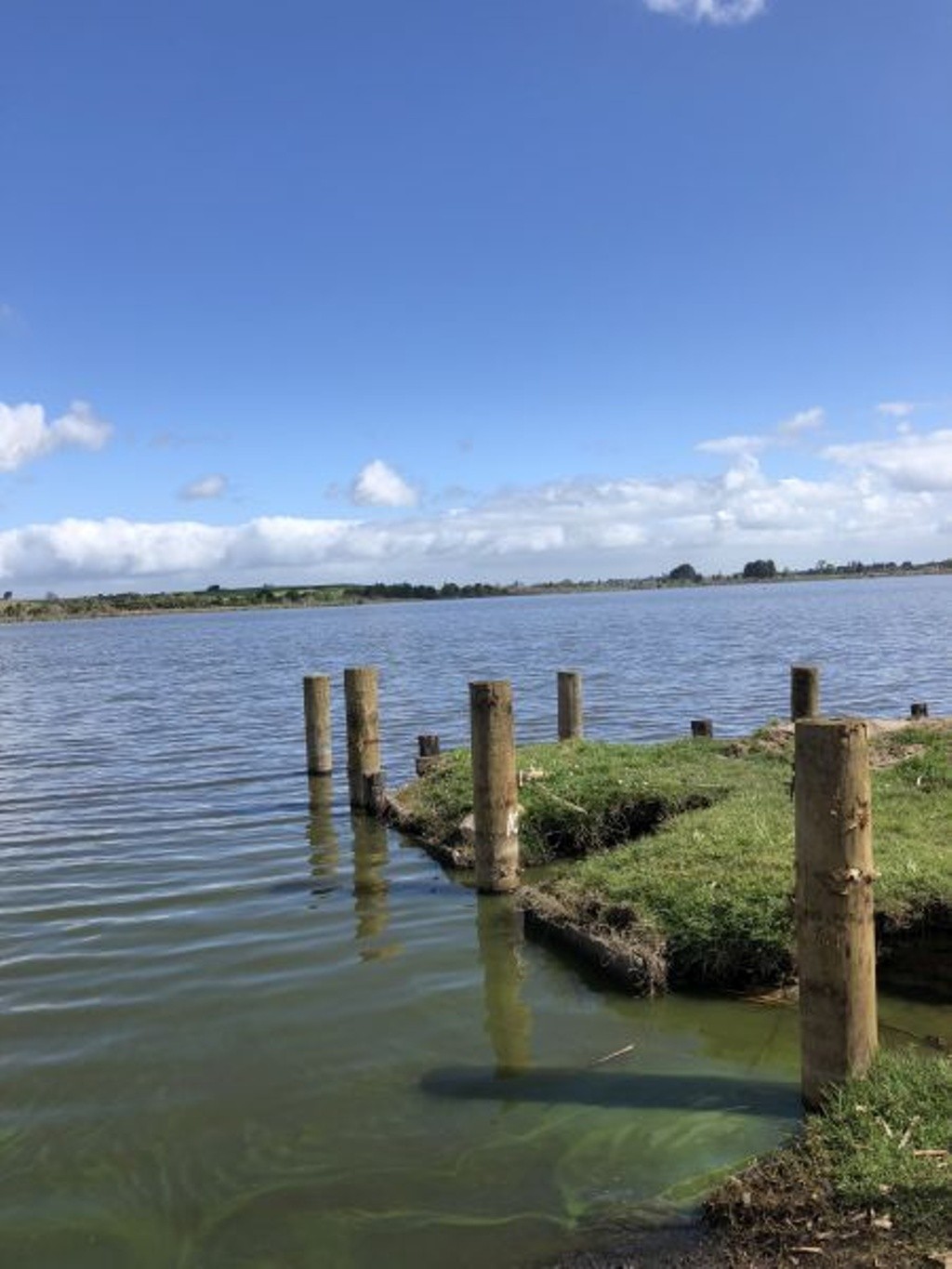 Lake Ngaroto | Swim Guide