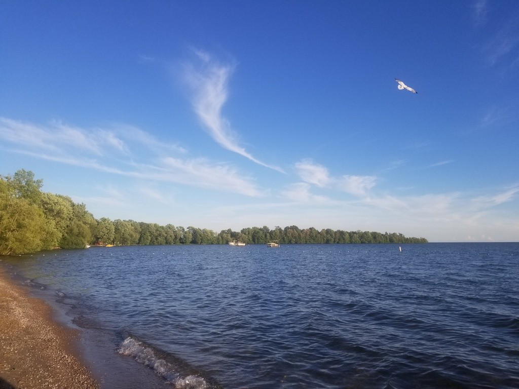 Mara Provincial Park Beach | Swim Guide