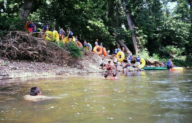 S.F. Shenandoah at Cub Run Trail - Swim Guide