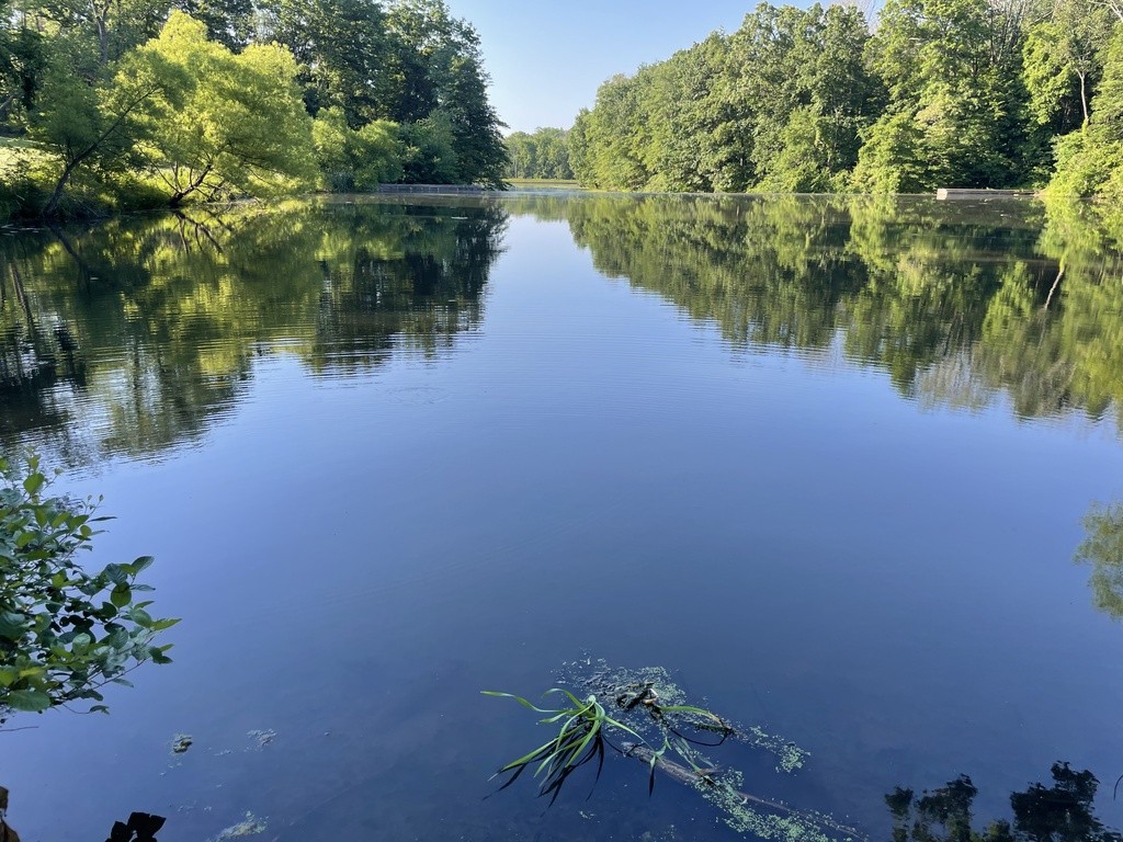 (PMRL1) Palmer Lake | Swim Guide