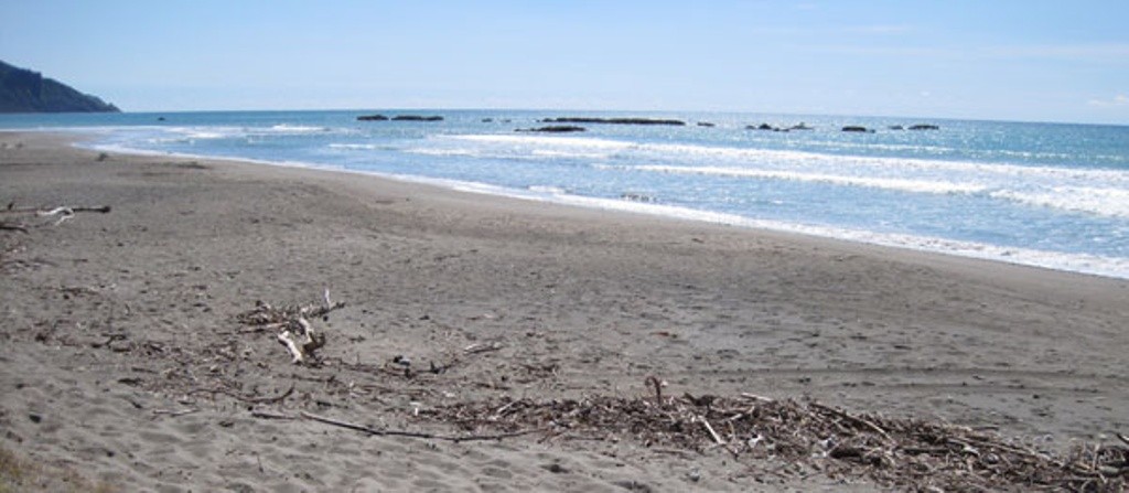 Waipiro Bay - Swim Guide