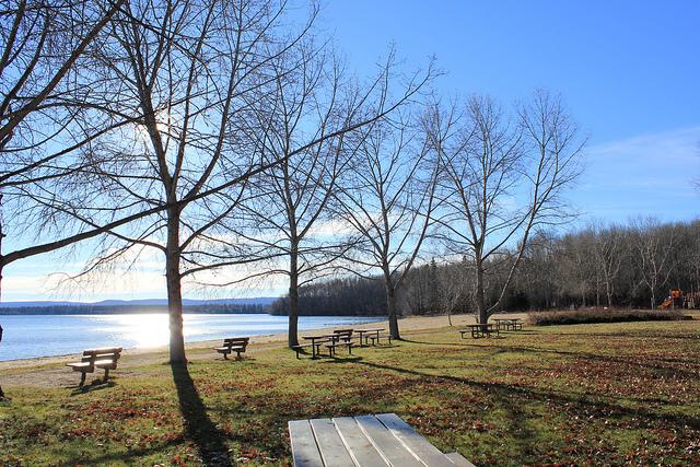 Gregoire Lake Provincial Park Beach - Swim Guide