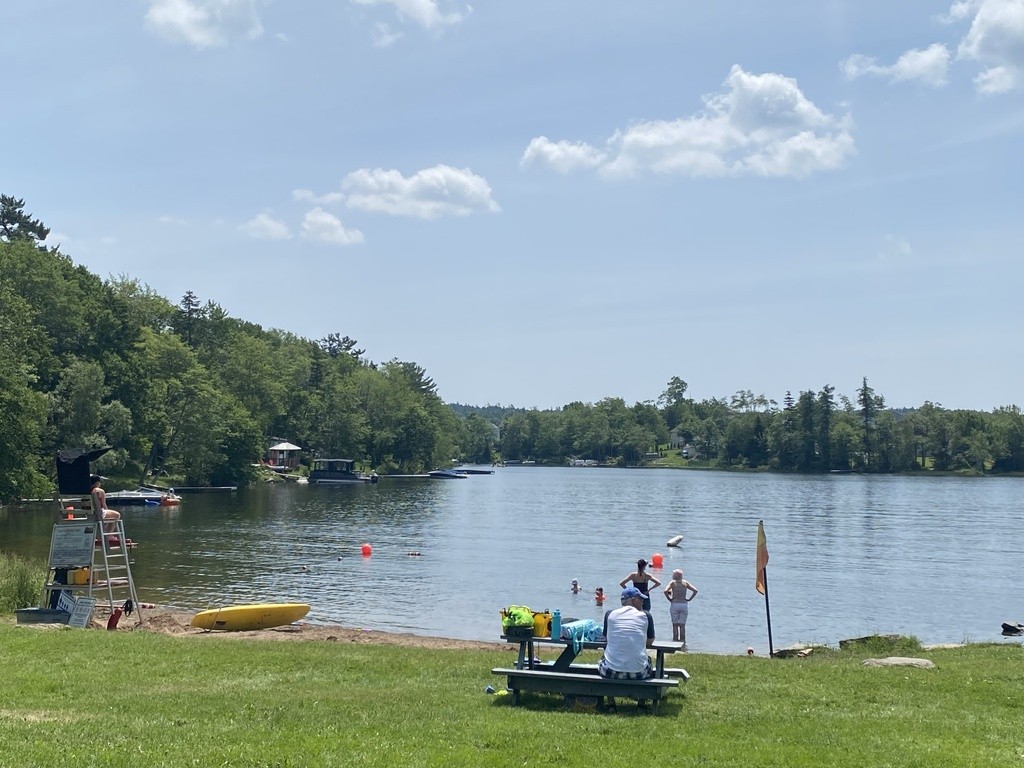 Springfield Beach - Swim Guide