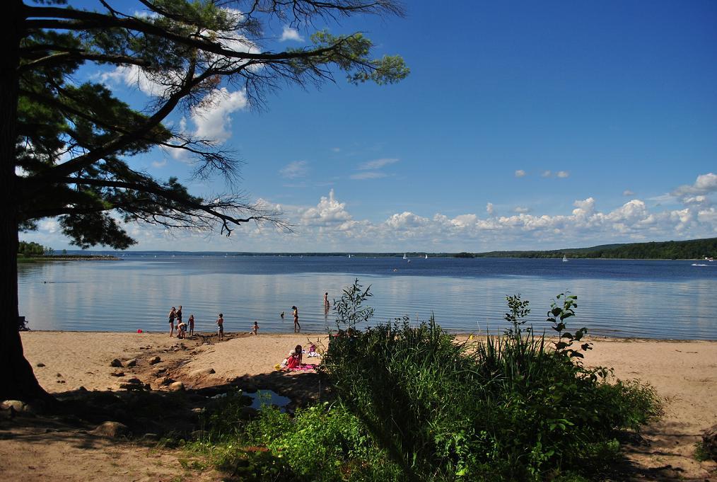 Sandy Beach - Swim Guide