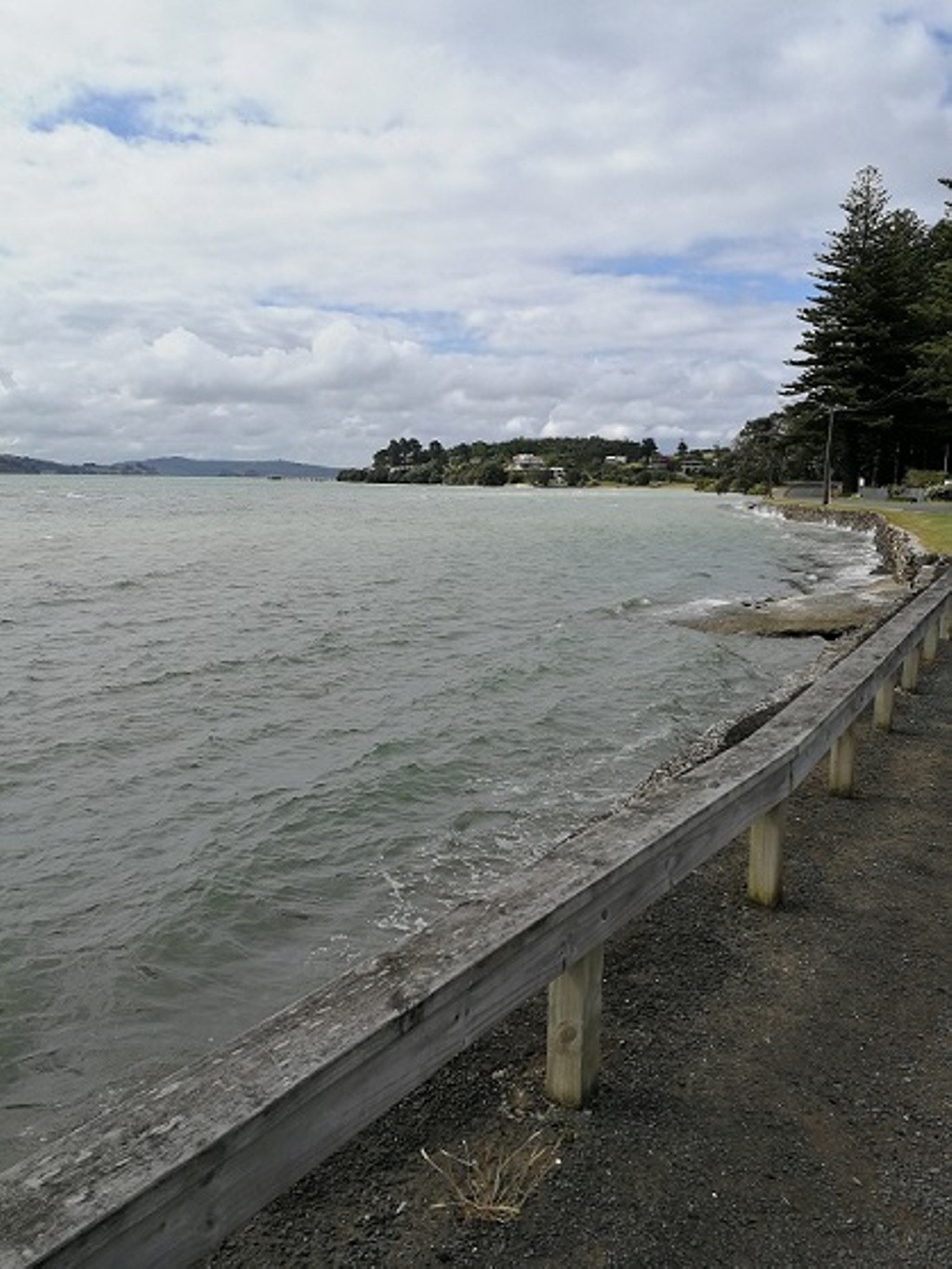 Tinopai at Below Shops - Swim Guide