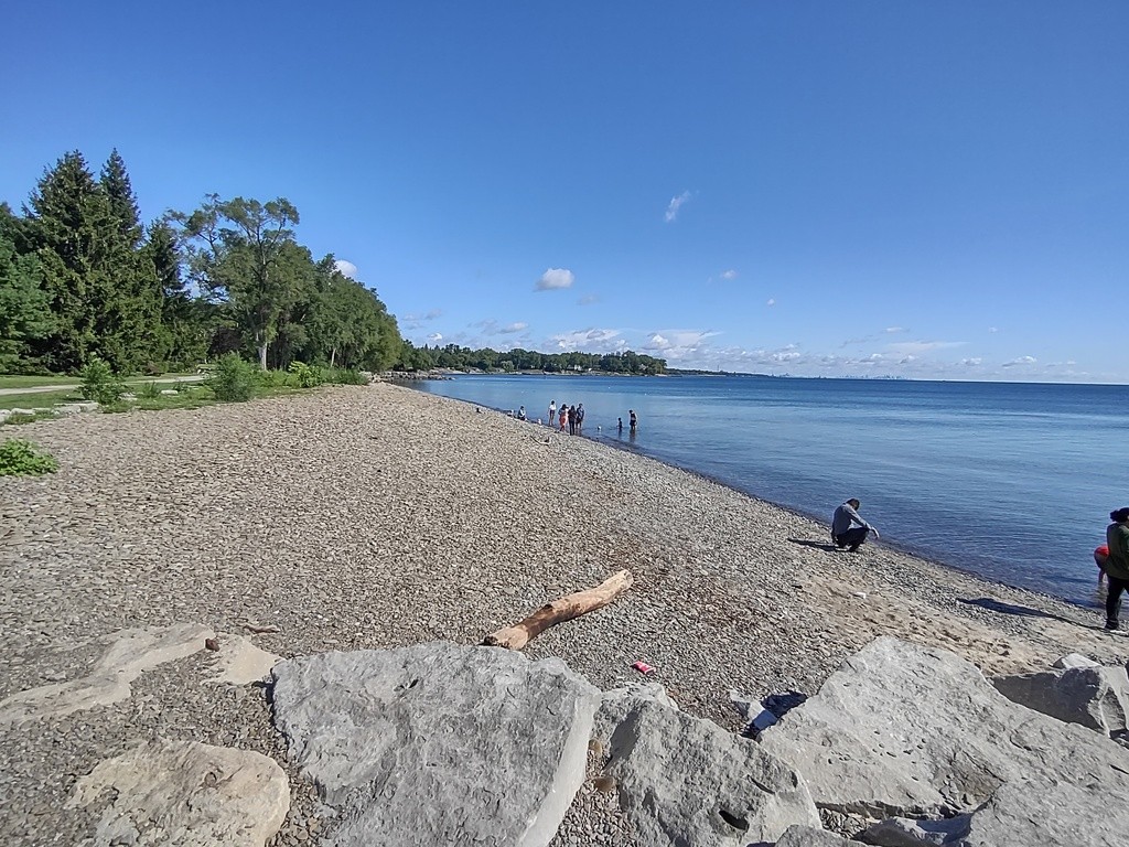 Coronation Park East - Swim Guide