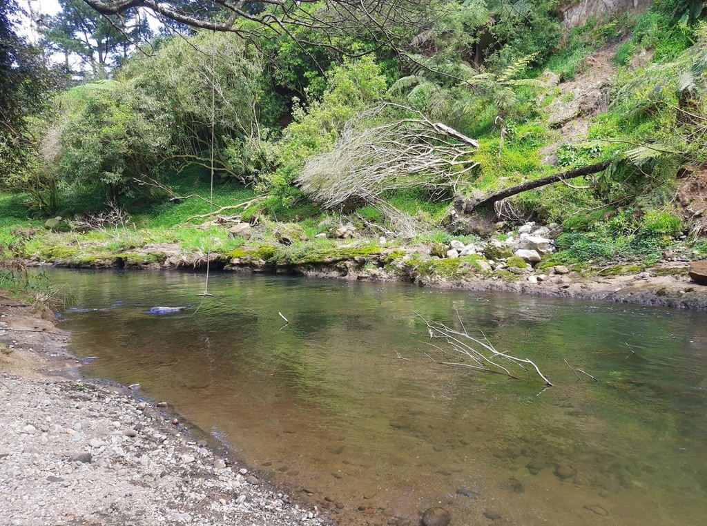 Waingongoro River at Taumata Park - Swim Guide