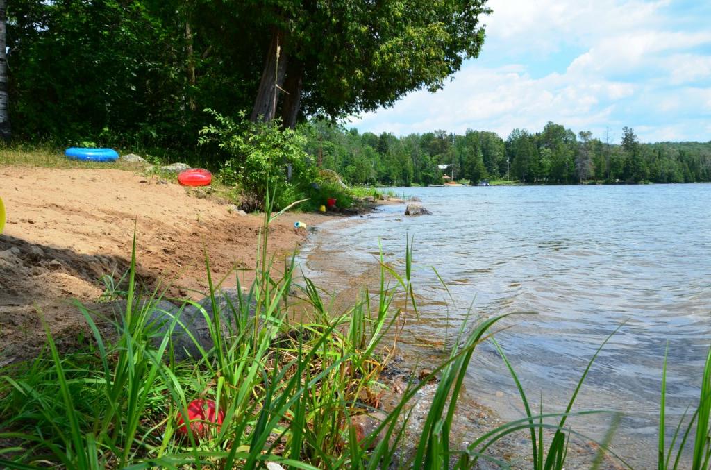 Plage de Gorman Lake Beach - Swim Guide