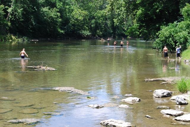 N.F. Shenandoah at Strasburg Park Landing - Swim Guide