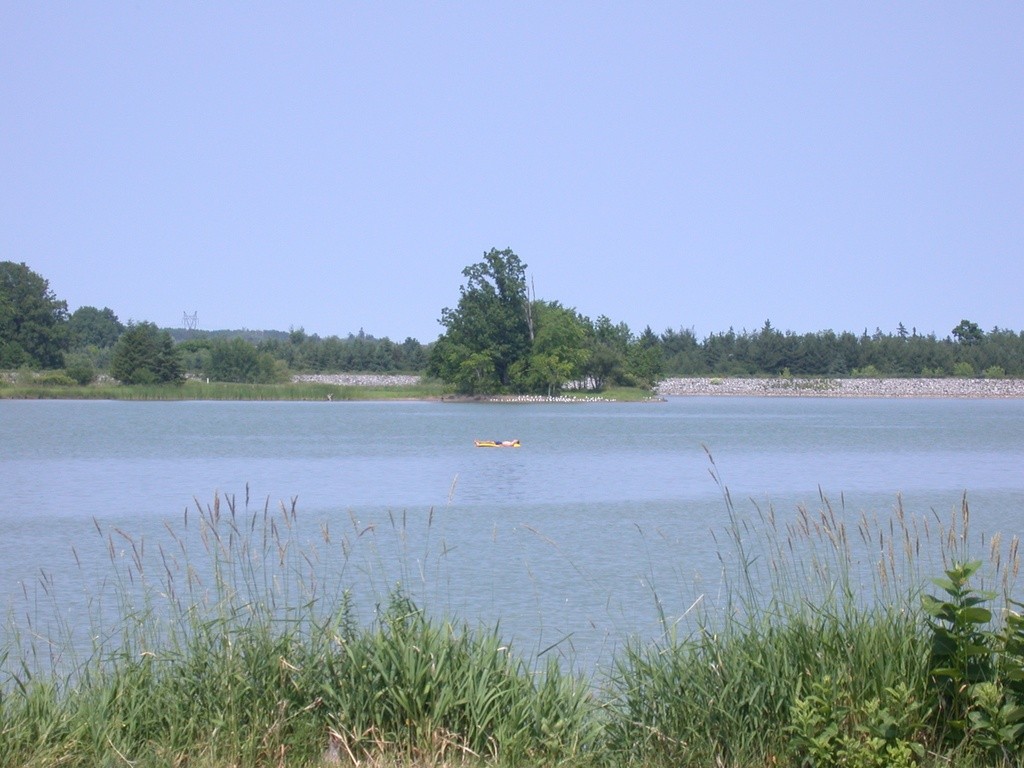 Binbrook Conservation | Great Lakes Guide