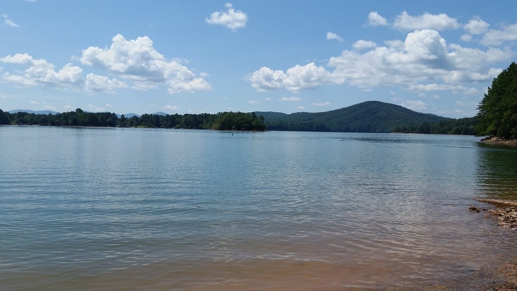 Lake Nottely at Dam Boat Ramp - Swim Guide