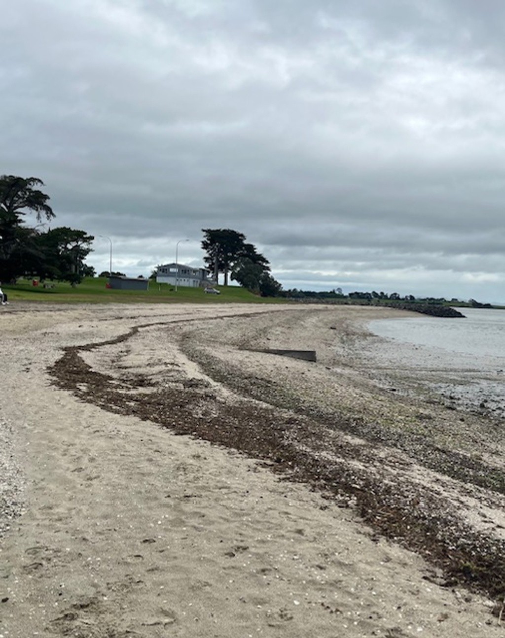 Clarks Beach - Swim Guide