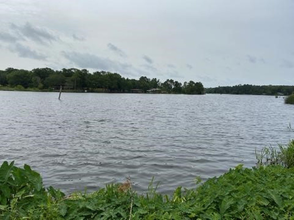 Dog River Park, Dog River - Swim Guide