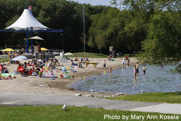 Moose Beach | Swim Guide