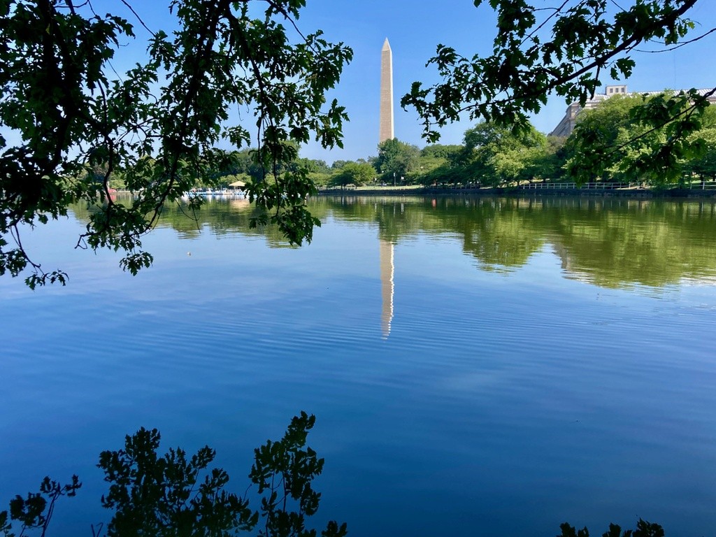 Potomac River - Tidal Basin - Swim Guide