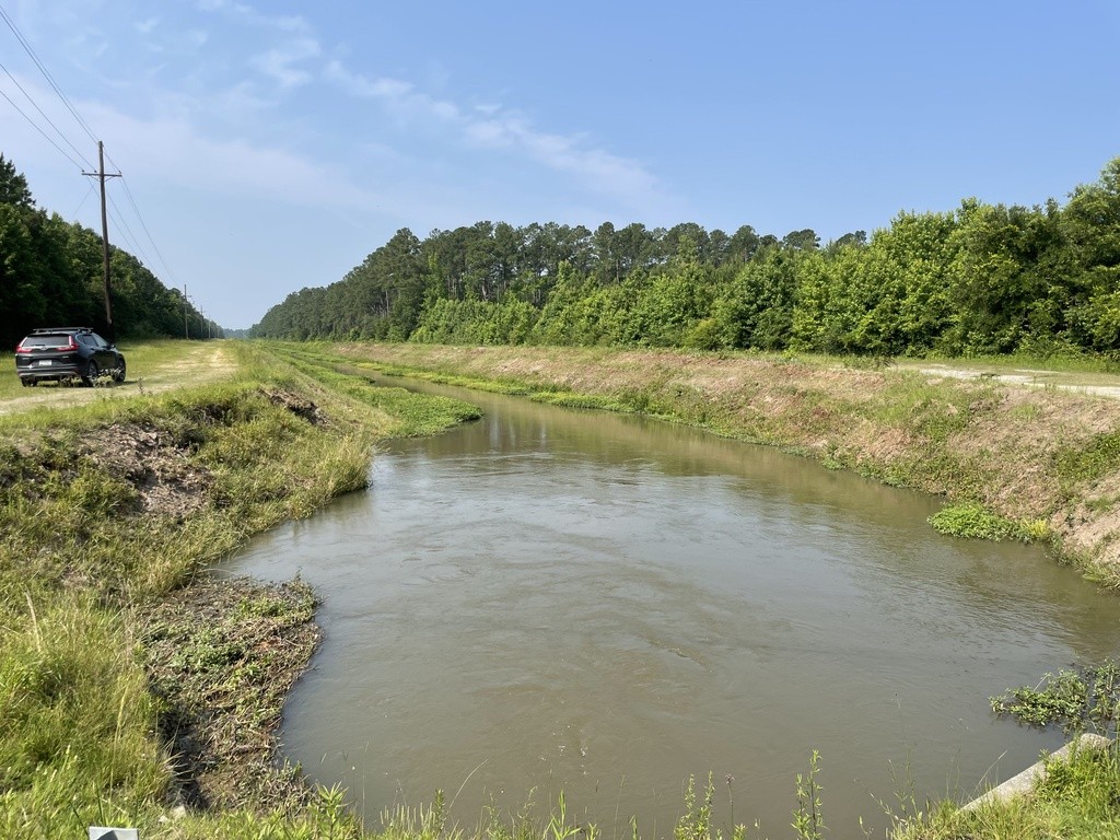 Black River - IP Canal Access - Swim Guide