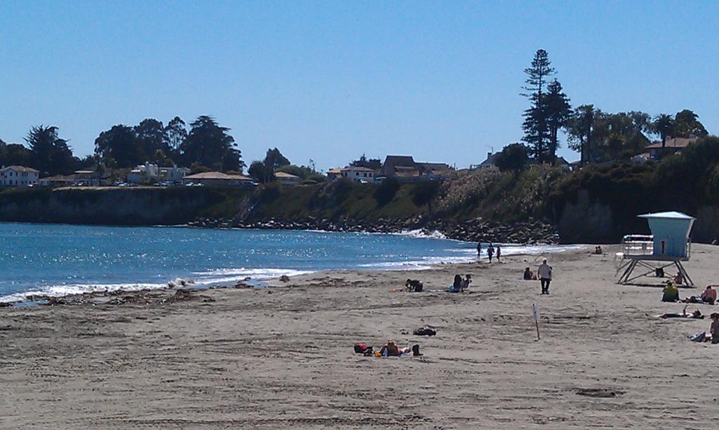 Cowell Beach - Swim Guide