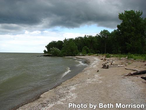 Maumee Bay (Erie) - Swim Guide