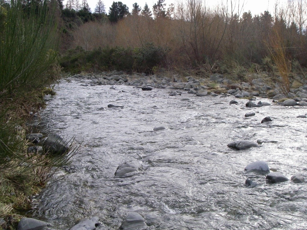 Otaio River at Otaio Gorge - Swim Guide