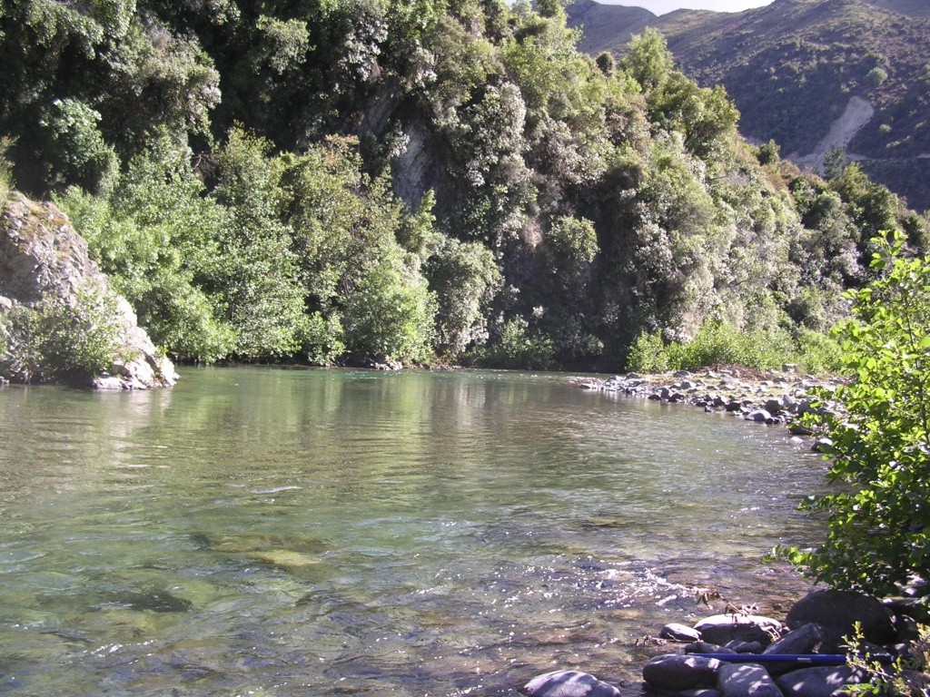 Orari River at Orari Gorge | Swim Guide