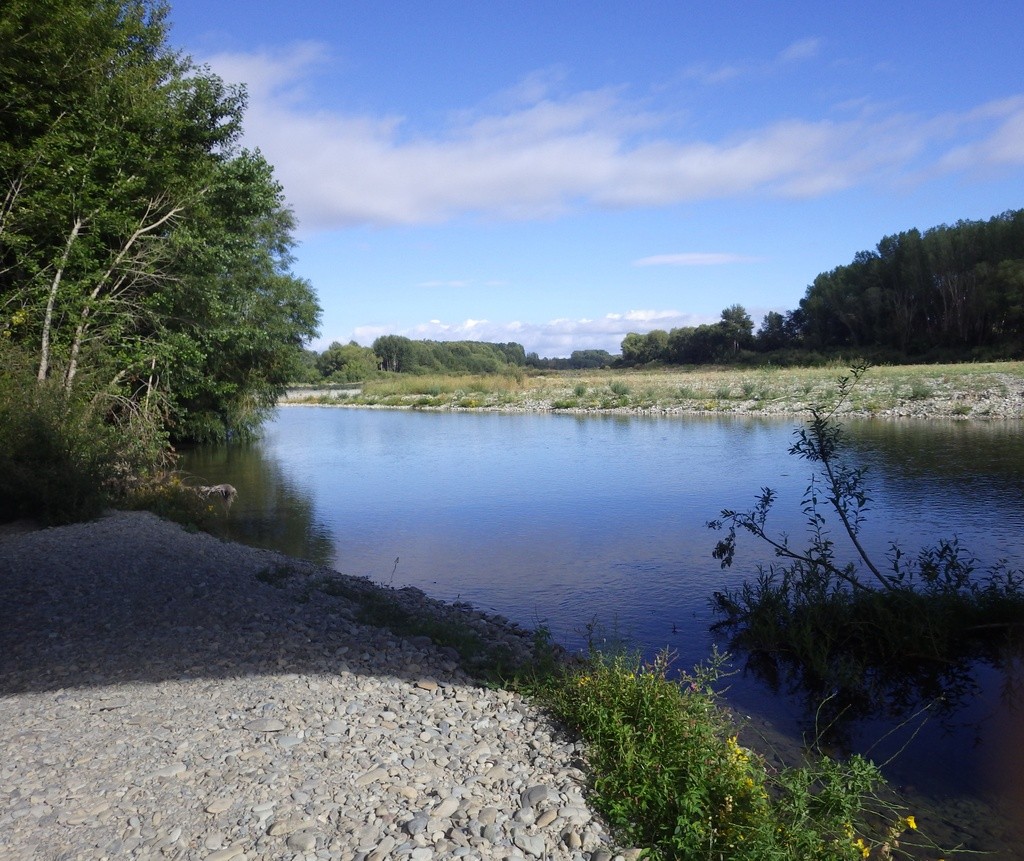 Opihi River at Saleyards Bridge | Swim Guide