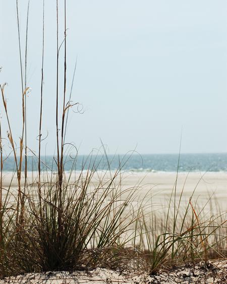 Little Lagoon Pass, Gulf of Mexico - Swim Guide