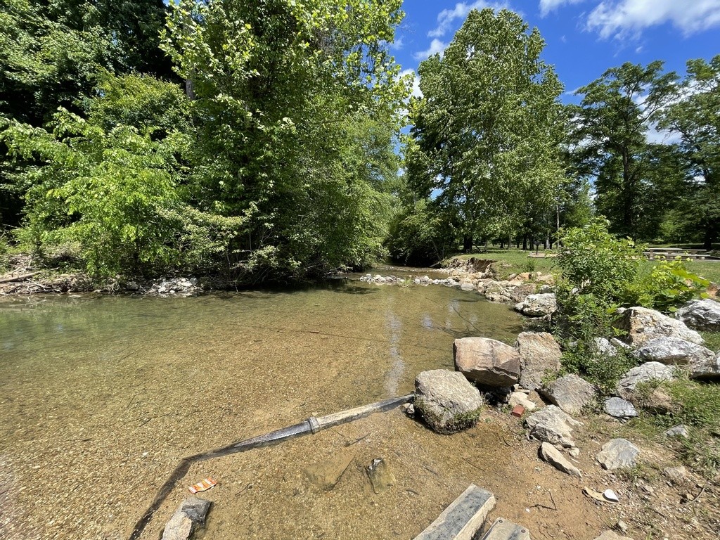 Hokes Bluff Mill Pond - Swim Guide