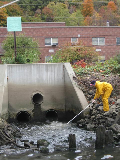 Kingston STP Outfall - Swim Guide