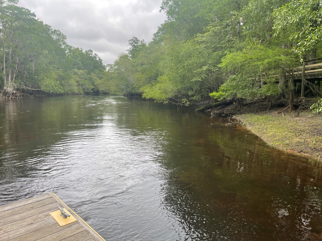 Lumber River - Fair Bluff Boating Access - Swim Guide