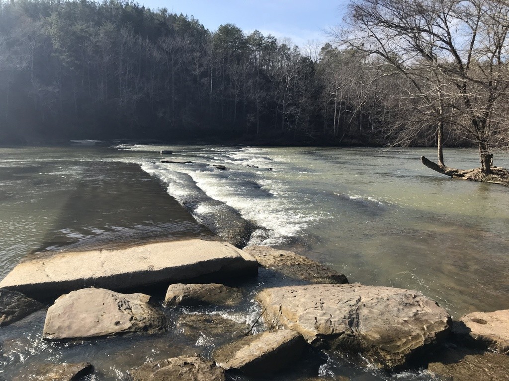Cahaba River Park - Helena - Swim Guide