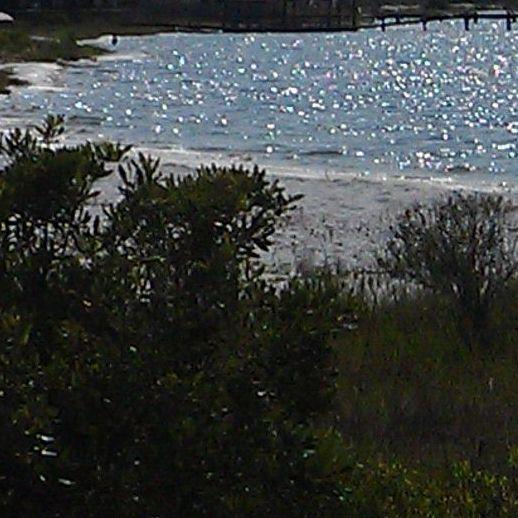 Delwood Beach - Swim Guide